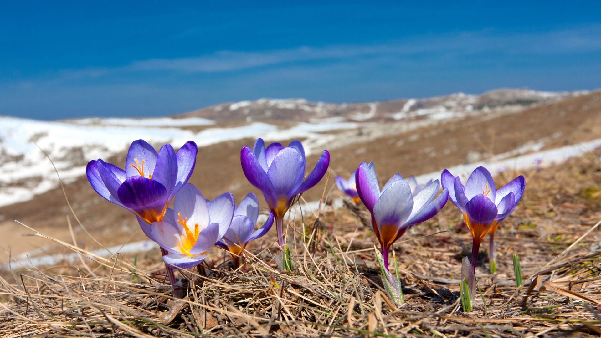 AudioFile Magazine - 5 Audio Novels for Spring